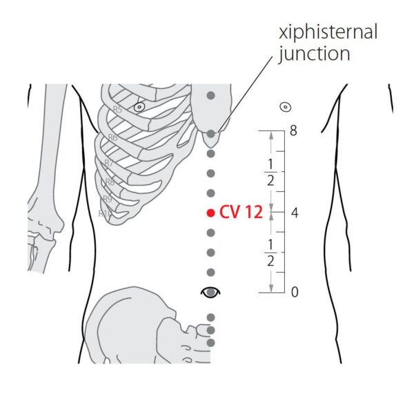 Acupressure for Digestion: Press to Digest! - Integrative Acupuncture